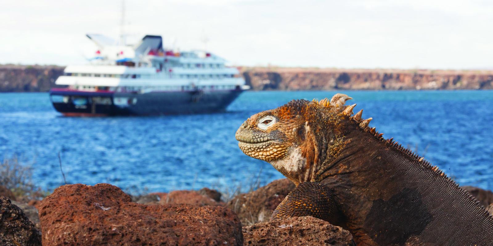 5 Tips for Picking a Destination-Focused Cruise | ShermansTravel