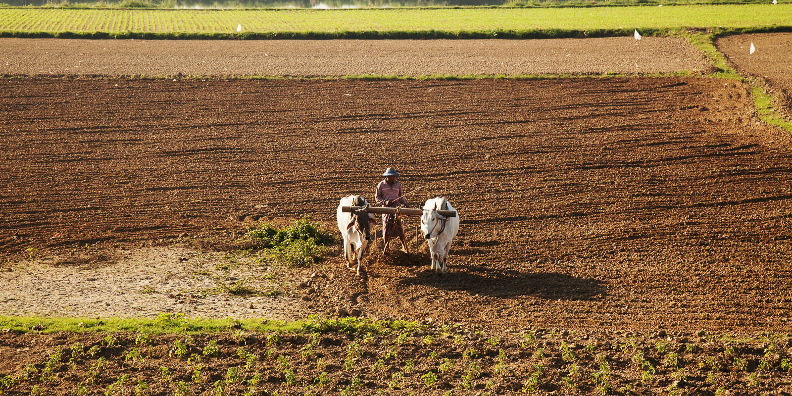 Shwe Pyi Thar, Myanmar | ShermansTravel